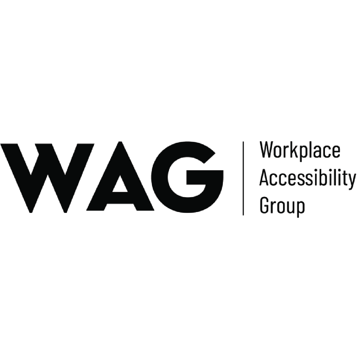 Workplace Accessibility Group (WAG) - axe-con